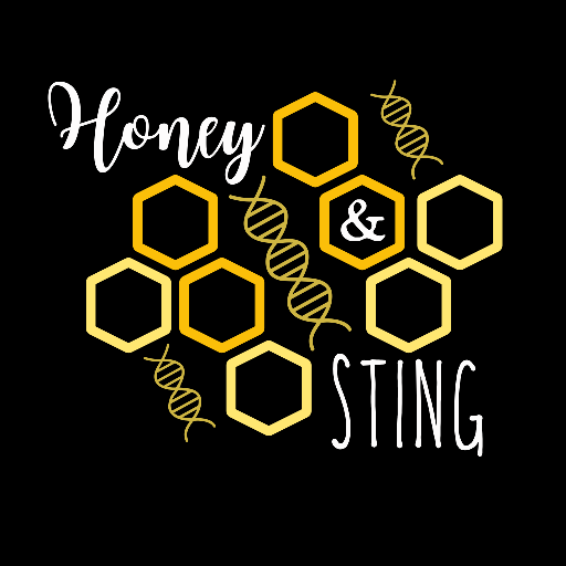 Honey & Sting – Plays for New Audiences